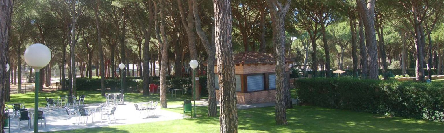 Enlaces de interés – Urbanización El Montico